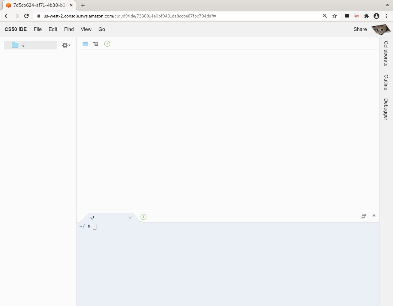 Ниже мы видим рабочую среду на ide.cs50.io.